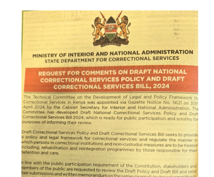 State Department for Correctional Services | Correctional Services